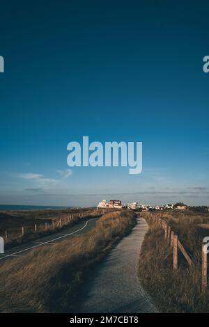 Sand path though the dunes Stock Photo - Alamy