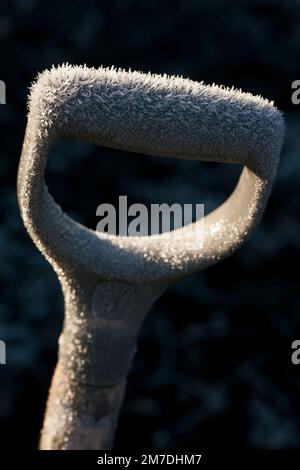 A garden fork that has been left out overnight during the winter ...
