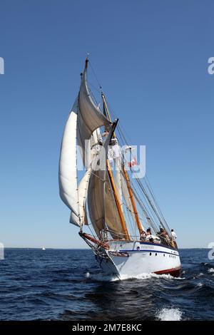 The Pathfinder Tall Ship Sail Training Vessel Brigantine Now Retired ...