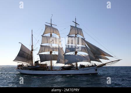 Barque Picton Castle, race start off Sydney, 2013 Stock Photo - Alamy