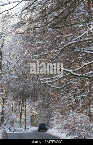 A car disappearing down a road in anow covered forest Stock Photo - Alamy
