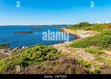 Landscape On The Island Of Merdø Near Arendal In Norway Stock Photo - Alamy