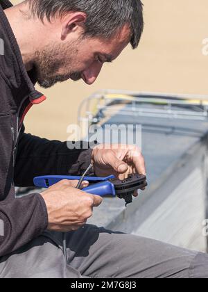 team of workers preparing electrical connection cables for solar panels ...