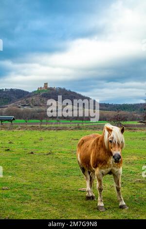 Short hike around the beautiful Drei Gleichen in the Thuringian Basin ...