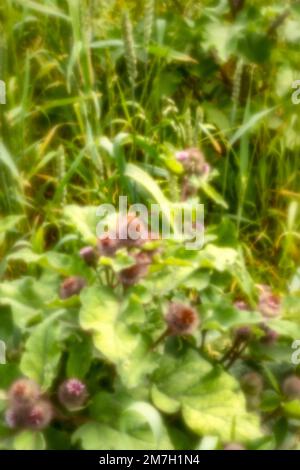 New, Age-defying, digital age, lensless, stand-out, high resolution ...