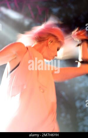 Garbage in concert at Central Park Summerstage in New York Stock Photo ...