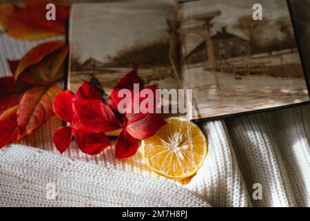 An autumn vibe with a book and a sliced lemon on a knitted cloth Stock ...