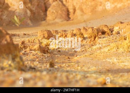 scene around the deserted land due to deforestation and earth mining ...