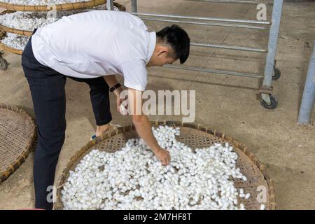 Silk factory in Da Lat, Vietnam Stock Photo - Alamy