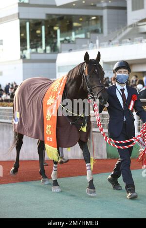 Aichi, Japan. 5th Jan, 2023. Elusive Panther is led through the paddock ...
