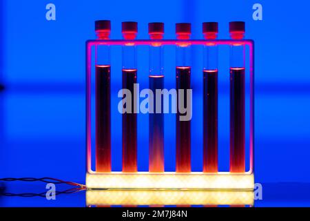 samples of radioactive liquid in test tubes in a nuclear physics ...
