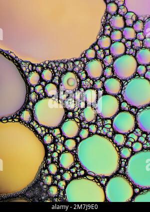 Colourful light diffraction patterns formed by oil droplets floating on ...