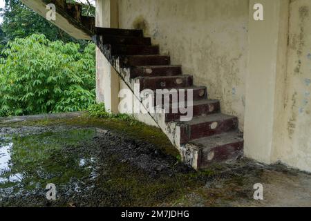 Abandoned stairs with mossy textures in damp area landscape Stock Photo ...