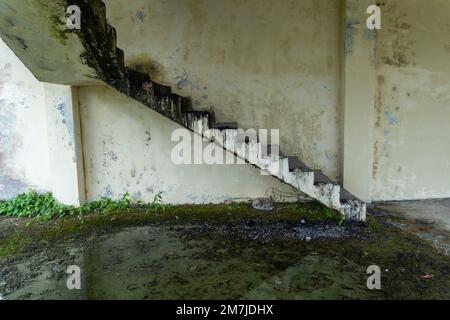 Abandoned stairs with mossy textures in damp area landscape Stock Photo ...