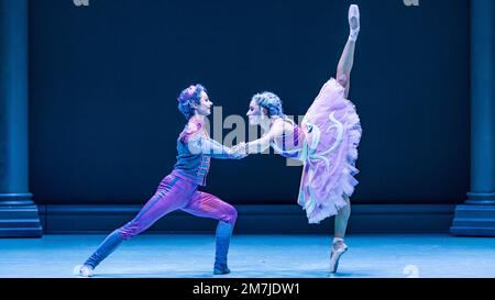 Cottbus, Germany. 10th Nov, 2022. Dancer Stefan Kulhavec (l-r) as the ...
