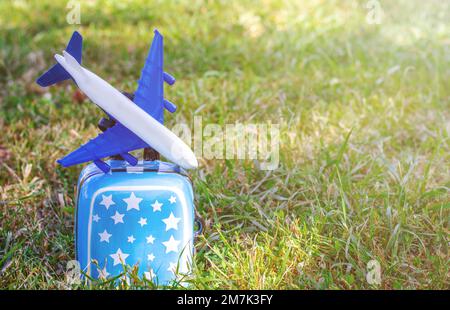 suitcase piggy bank airplane plastic toy on yellow flowers green grass ...