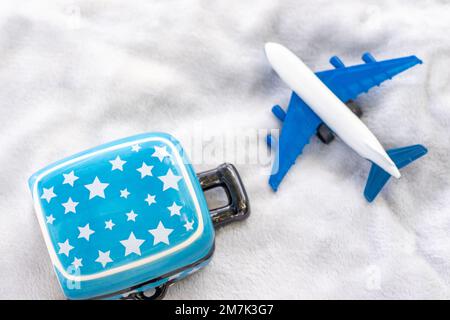 suitcase piggy bank airplane plastic toy on yellow flowers green grass ...