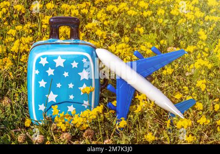 suitcase piggy bank airplane plastic toy on yellow flowers green grass ...
