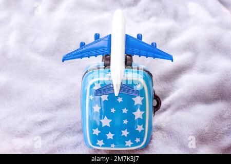 suitcase piggy bank airplane plastic toy on yellow flowers green grass ...