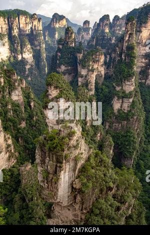 Zhangjiajie Forest Park. Unique strange-shaped pillar rocks raising ...