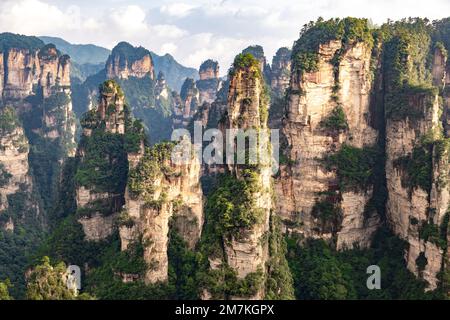Avatar Mountains majestic landscape scenery. Panoramic view through the ...