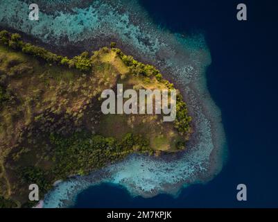 Coral reefs fringe convoluted, tropical islands found in a remote part ...