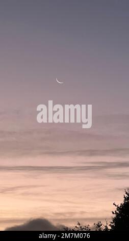 A vertical shot of the bright crescent Moon in the night sky background ...