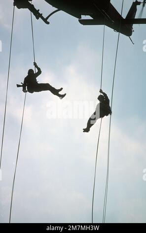 U.S. Soldiers rappel from a UH-60 Black Hawk helicopter at Camp Dodge ...