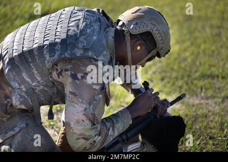 Spc. Cassandrew Delicieux, a wheeled vehicle mechanic with the 3rd ...
