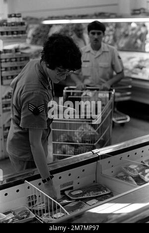 SGT Allen and SRA Ella Kirkham construct a latrine shelter during an ...