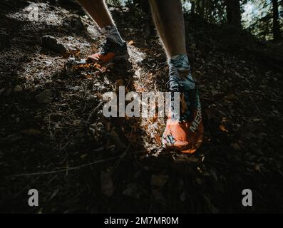 Runner, Detail, Legs, Forest floor Stock Photo - Alamy