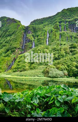 Ribeira grande waterfall. Flores, Azores, Portugal Stock Photo - Alamy