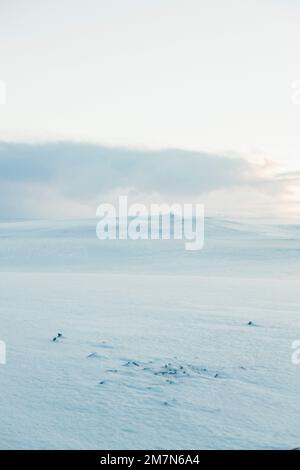 Snowy winter landscape on Magerøya in Norway, panoramic picture of ...