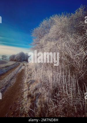 Winter atmosphere in icy cold Stock Photo - Alamy
