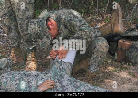 Belizean and Mexican forces received jungle survival training from US ...