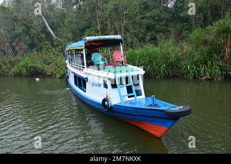 wooden klotok houseboat, Sekonyer River, swamp forest, Tanjung Puting ...