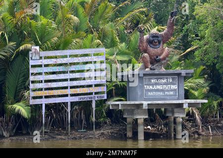 orangutan statue, swamp forest, Tanjung Puting National Park ...