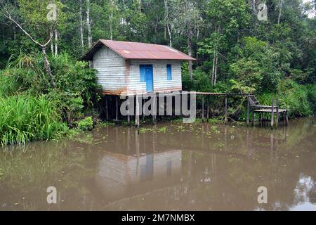 wooden houses, swamp forest, Tanjung Puting National Park, Kalimantan ...