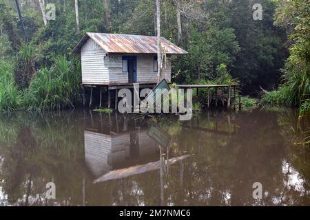 wooden houses, swamp forest, Tanjung Puting National Park, Kalimantan ...