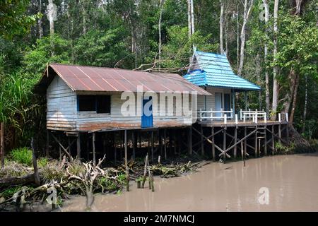 wooden houses, swamp forest, Tanjung Puting National Park, Kalimantan ...