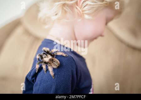 The child was frightened by a huge spider crawling on his back. The ...