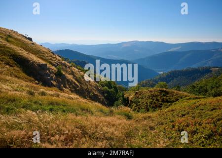 Mountain range, Bergkam, Summer, Hohneck, La Bresse, Vosges, Alsace ...
