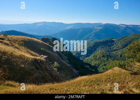 Mountain range, Bergkam, Summer, Hohneck, La Bresse, Vosges, Alsace ...