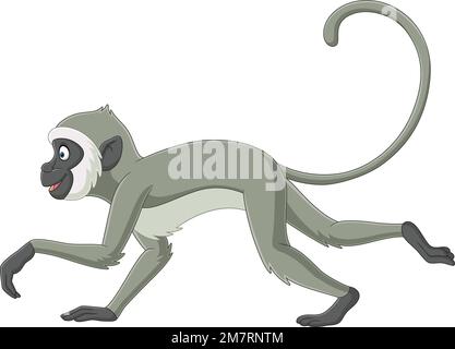 Cute grey langur monkey cartoon Stock Vector Image & Art - Alamy
