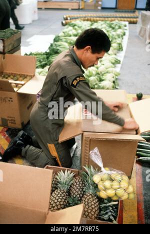A member of the 619th Military Airlift Support Squadron guides a US ...