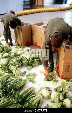 Members of the 619th Military Airlift Support Squadron (MASS) work on ...
