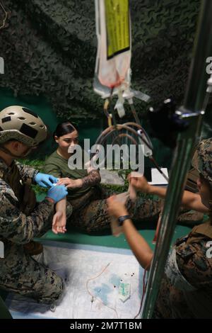 During a blood transfusion in forward areas, British Army personnel ...
