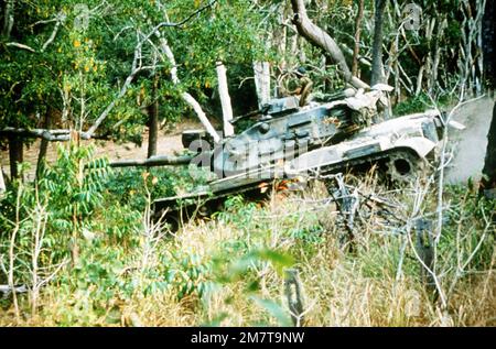 M-60A1 tanks attached to the e 31st Marine Amphibious Unit (31st MAU ...