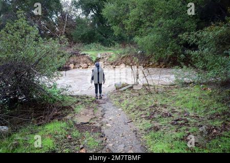 Ripped up earth after the flood, dried out earth Soil Stock Photo - Alamy