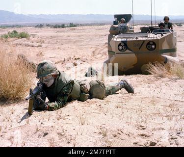 Marine Corps infantrymen of Company B, 1ST Battalion, 3rd Marines, 3rd ...